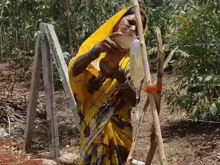Dindori Ranks 2nd in India for Water Structures | Rural Water Conservation