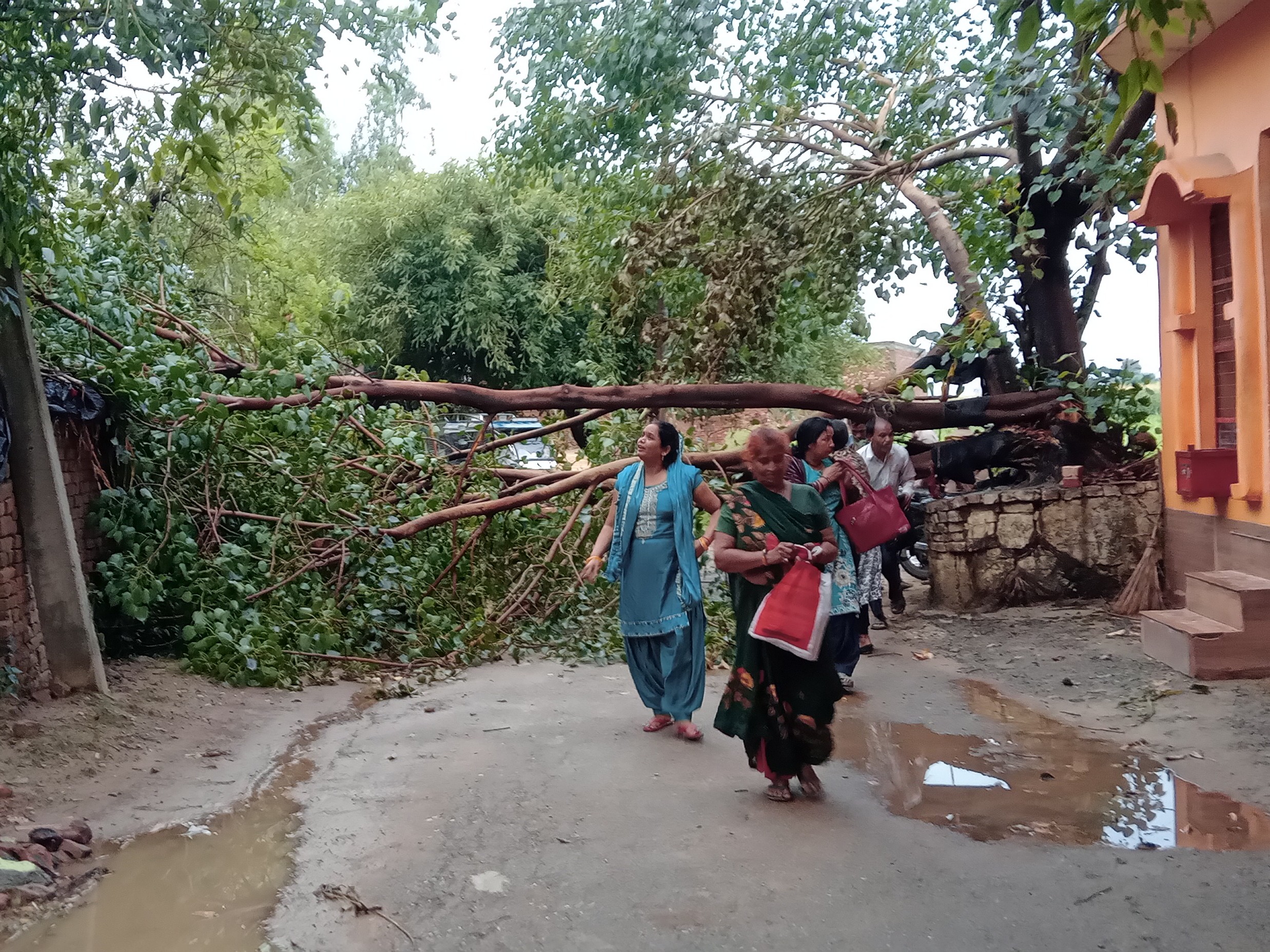 UP Assam Tree Fall Traffic Jam | Bihar Road Block