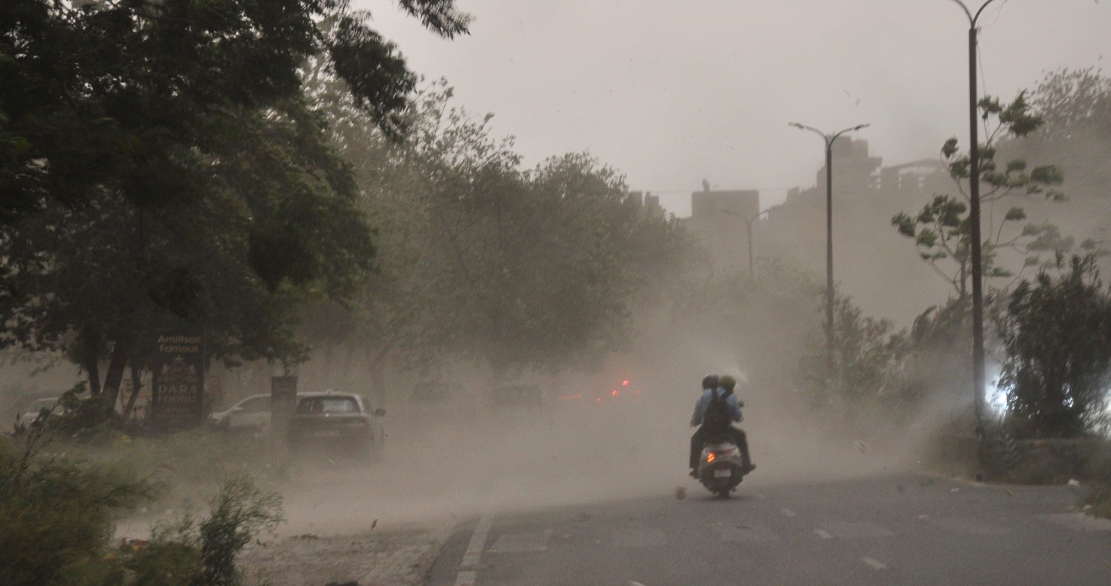 32.6 mm of rain this month, 25% less than last year
