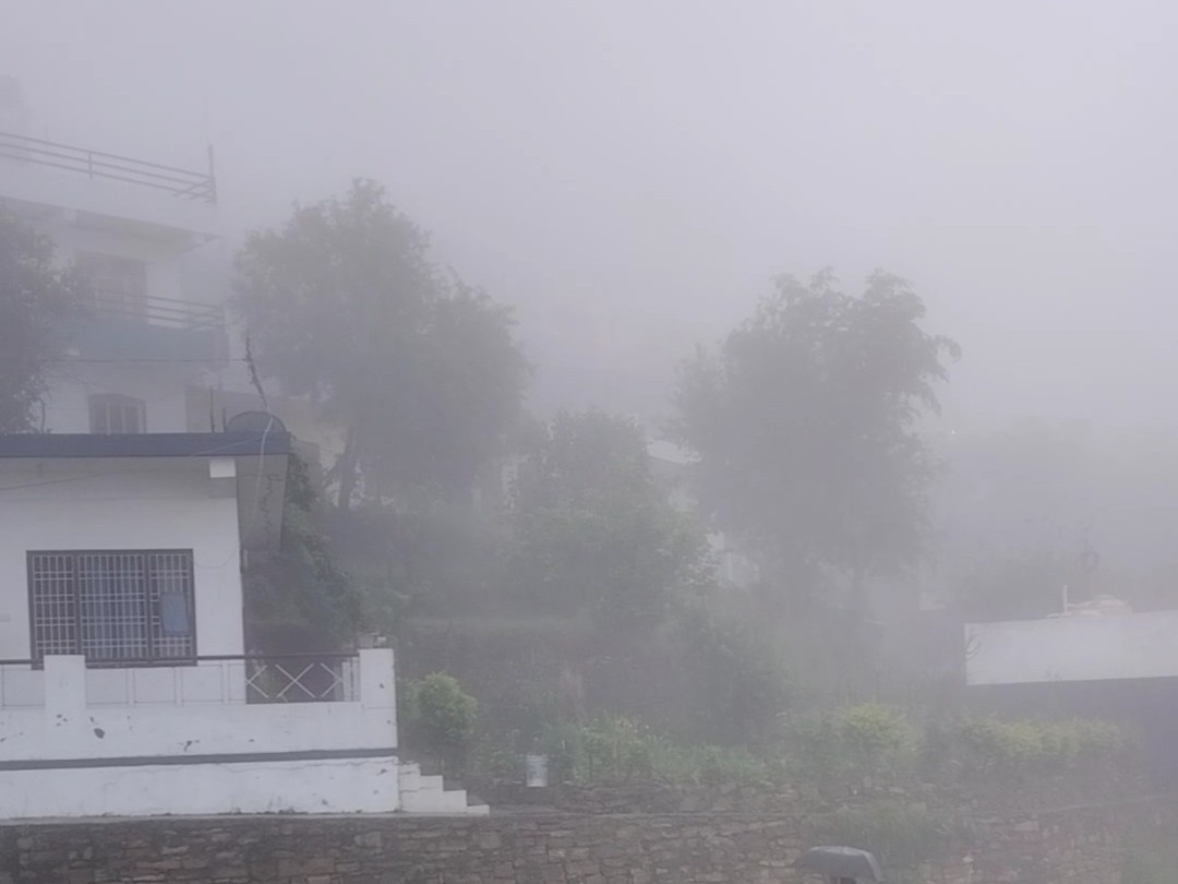Almora Cold Weather | 30mm Rain, Visibility Under 100m