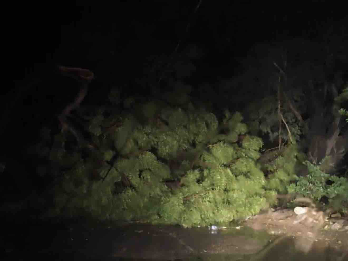 Kumbhalgarh Power Outage | Storm Damages Crops