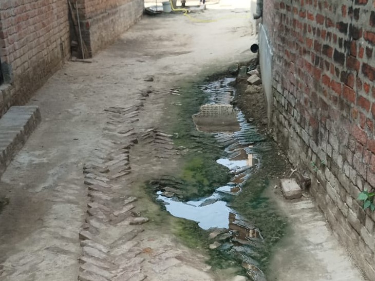 Achalpur Village Roads Bad, Sanitation Poor | Gramin Pareshani