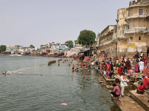 Latest Pushkar News (पुष्कर न्यूज़): पढ़ें 31 मई के ताज़ा समाचार दैनिक ...
