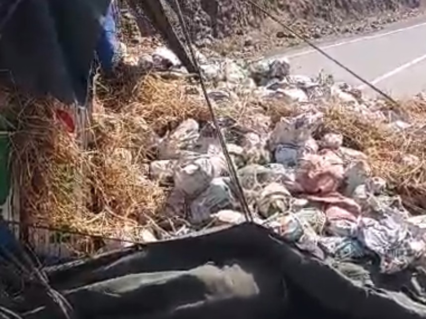 MP Truck Accident Banjari Ghati | Driver Injured Papaya Truck Overturns
