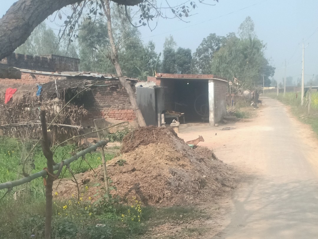 Mahatav Purwa: Garbage Pits Fuel Disease Risk, Mosquitoes Surge
