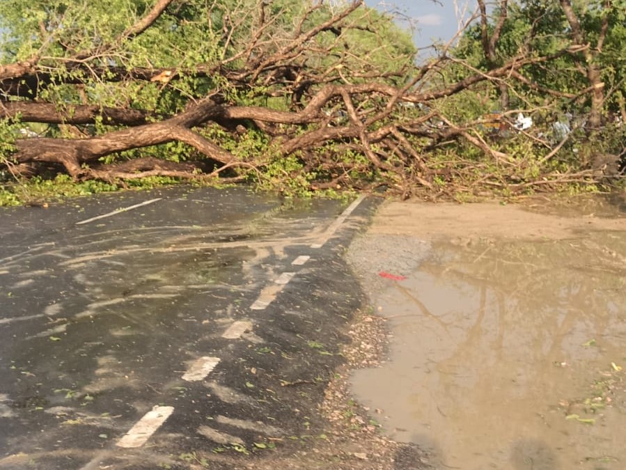 Sahpau Storm Damage | Crops Ruined, Trees Fall, Traffic Blocked