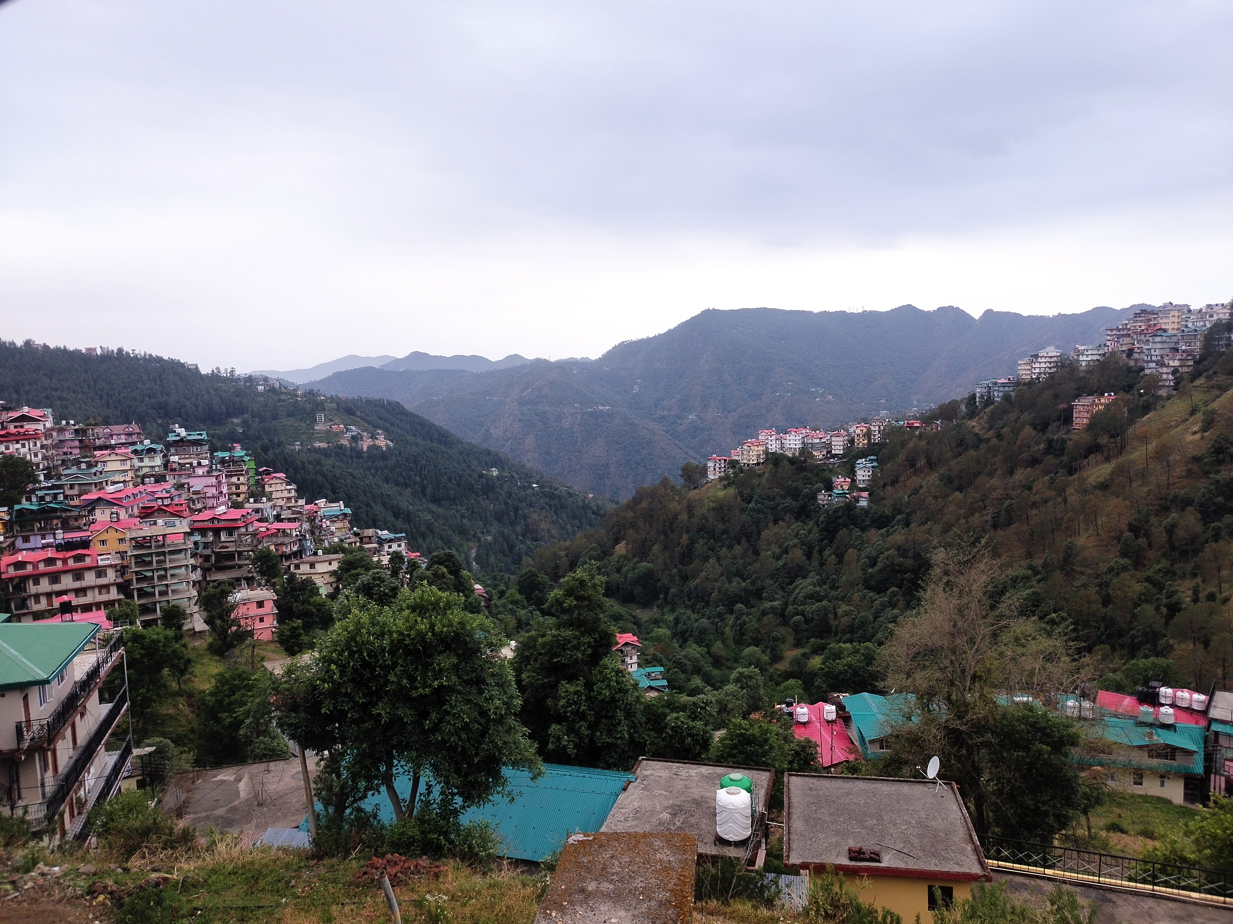 Latest Shimla News (शिमला न्यूज़): पढ़ें 1 जून के ताज़ा समाचार दैनिक ...