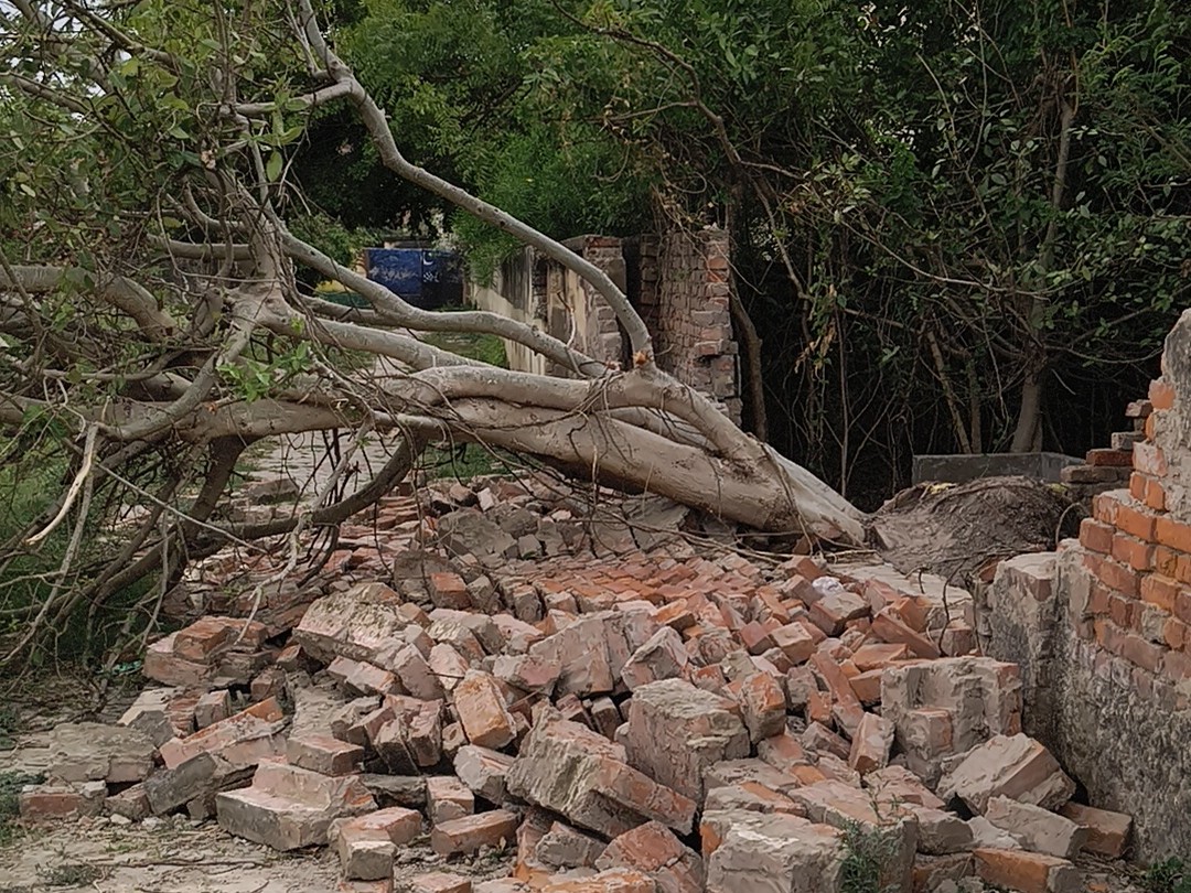 Sevrai Tehsil Block Road Blocked | Tree Fall Disrupts Commute