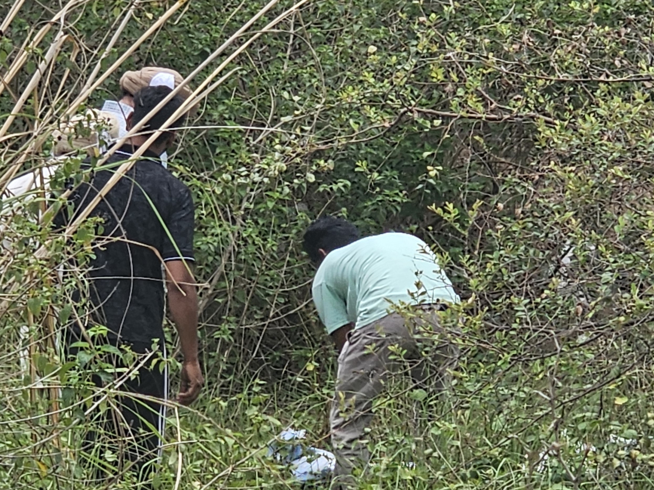 Mohali Dead Body Found | Bad Smell Leads House Owner To Discovery