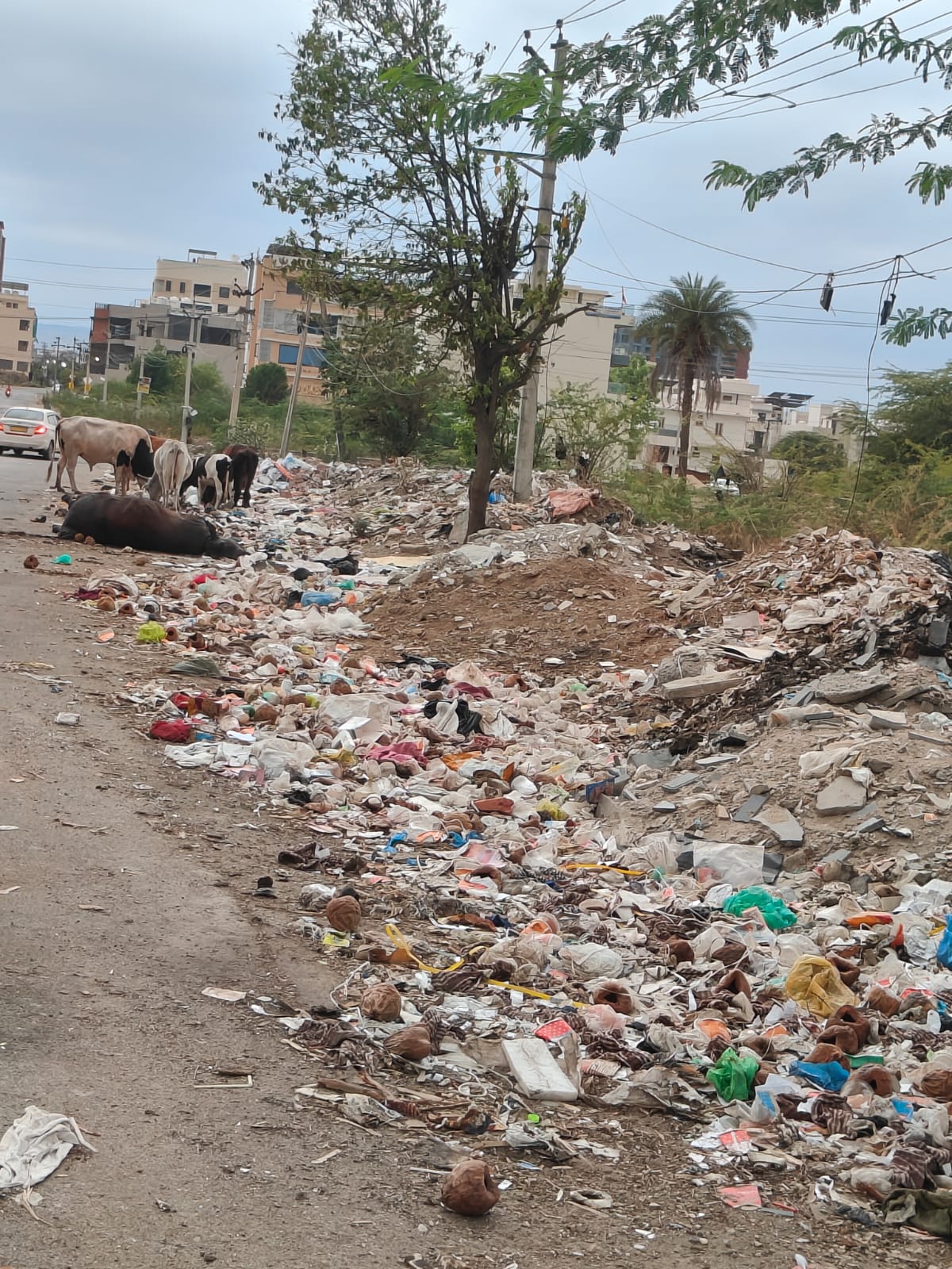Piles of garbage and dead animals litter the 60-foot road in Meera ...