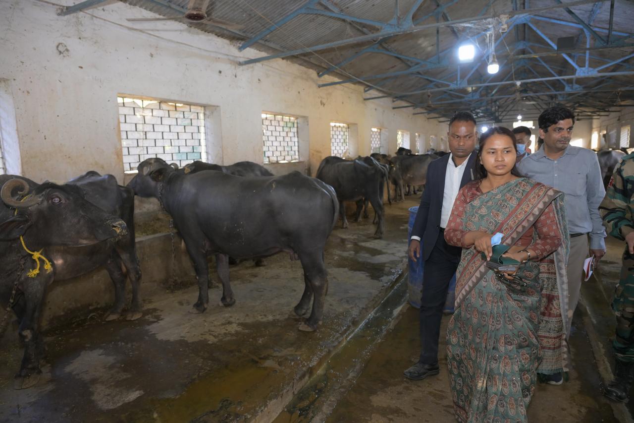 Establishment of a state-of-the-art milk powder plant in Hotwar will ...