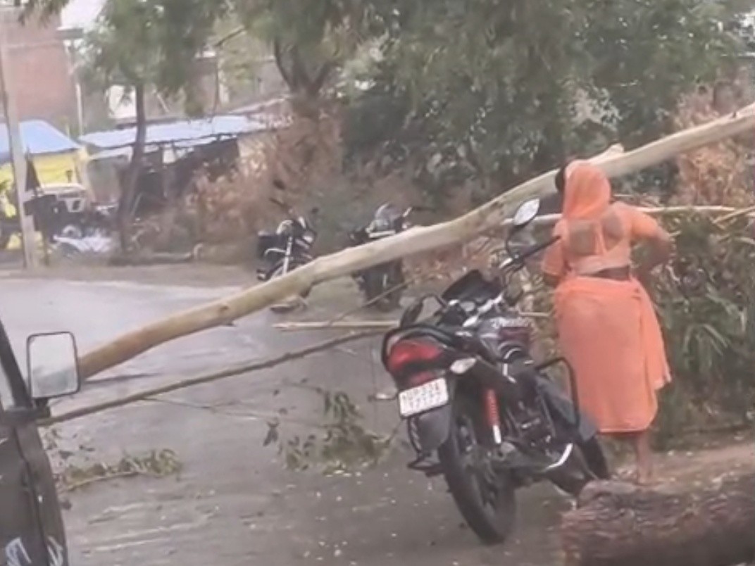 UP Tree Fall Road Block Raebareli | House Damage; Van Safe