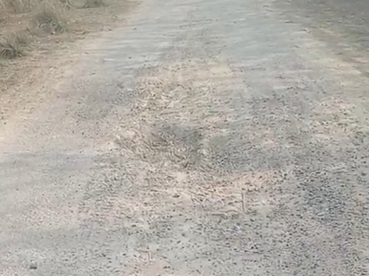 Khiron Road Repair Demand | Villagers Struggle