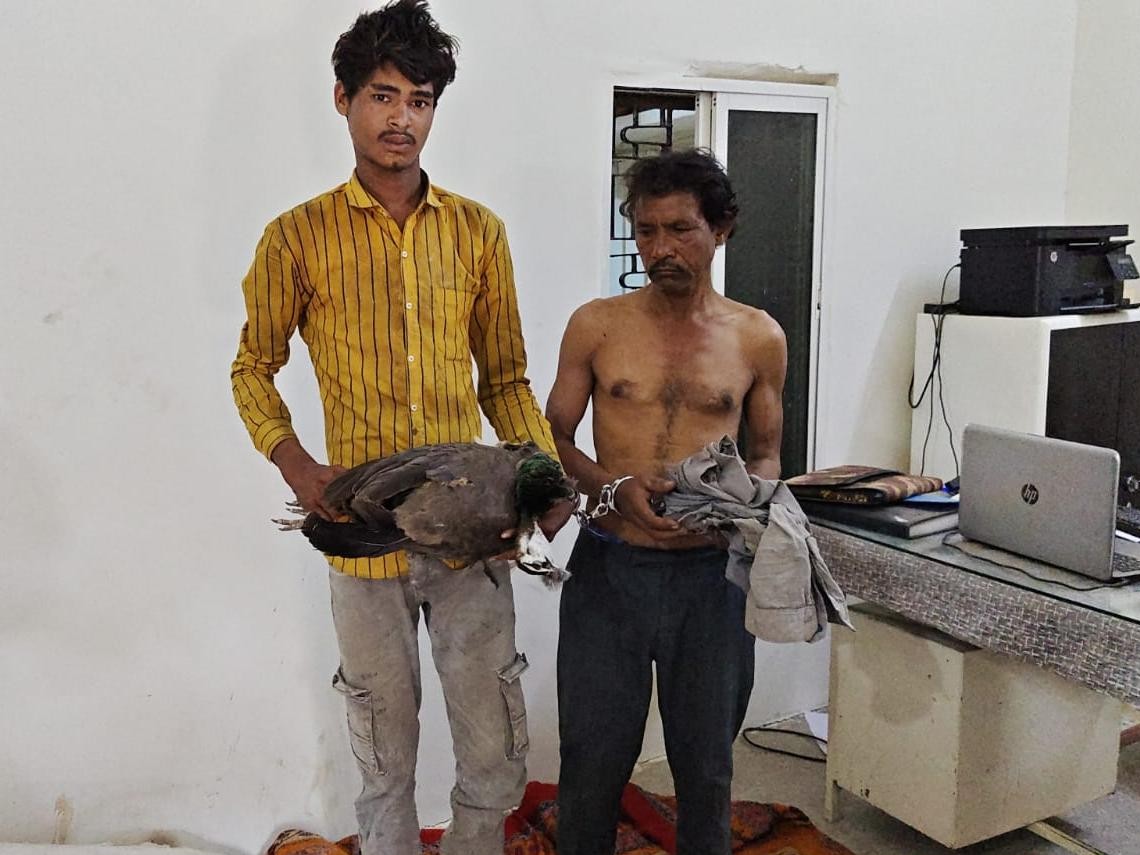 Mandsaur Mor Shikar Arrest | Jail, Bal Sudhar Grih