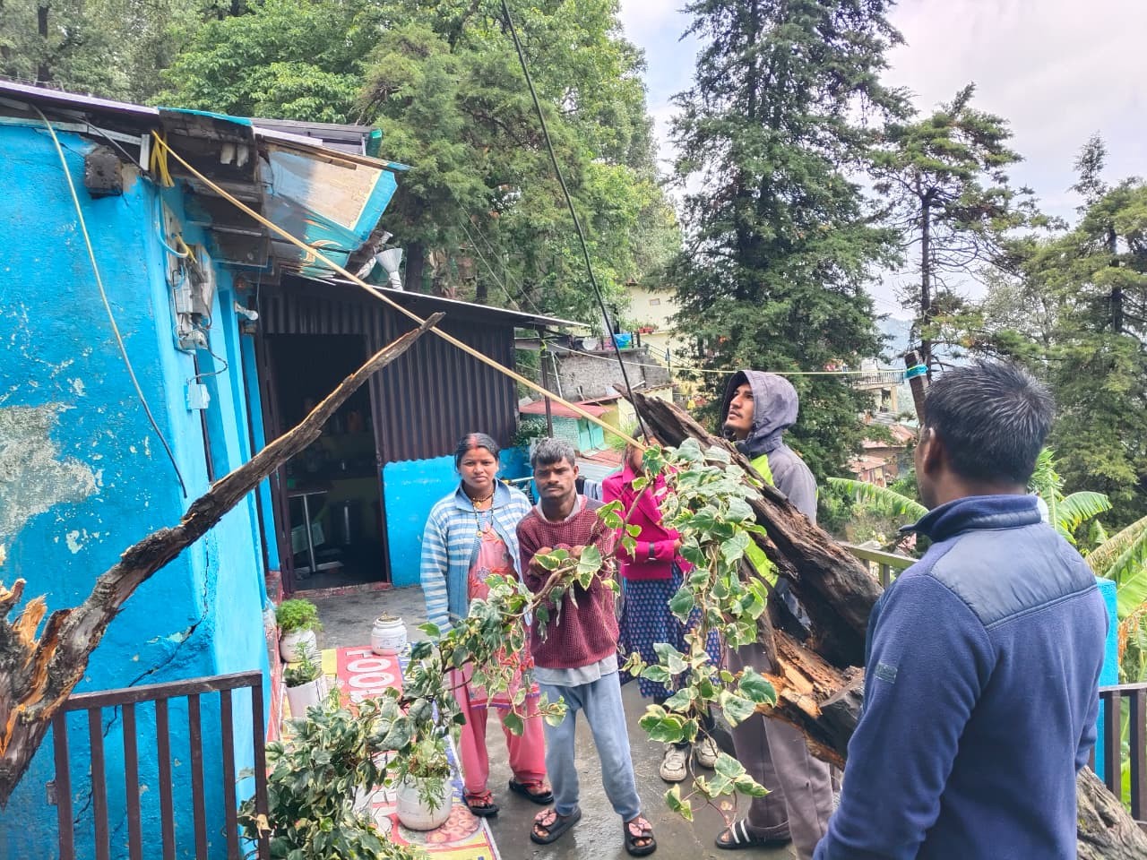 Nainital Tree Fall Accident | Two Homes Damaged; Forest Dept Accused