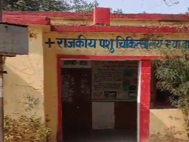 Maya Bazaar Animal Hospital Dilapidated | Officer Mobile Off