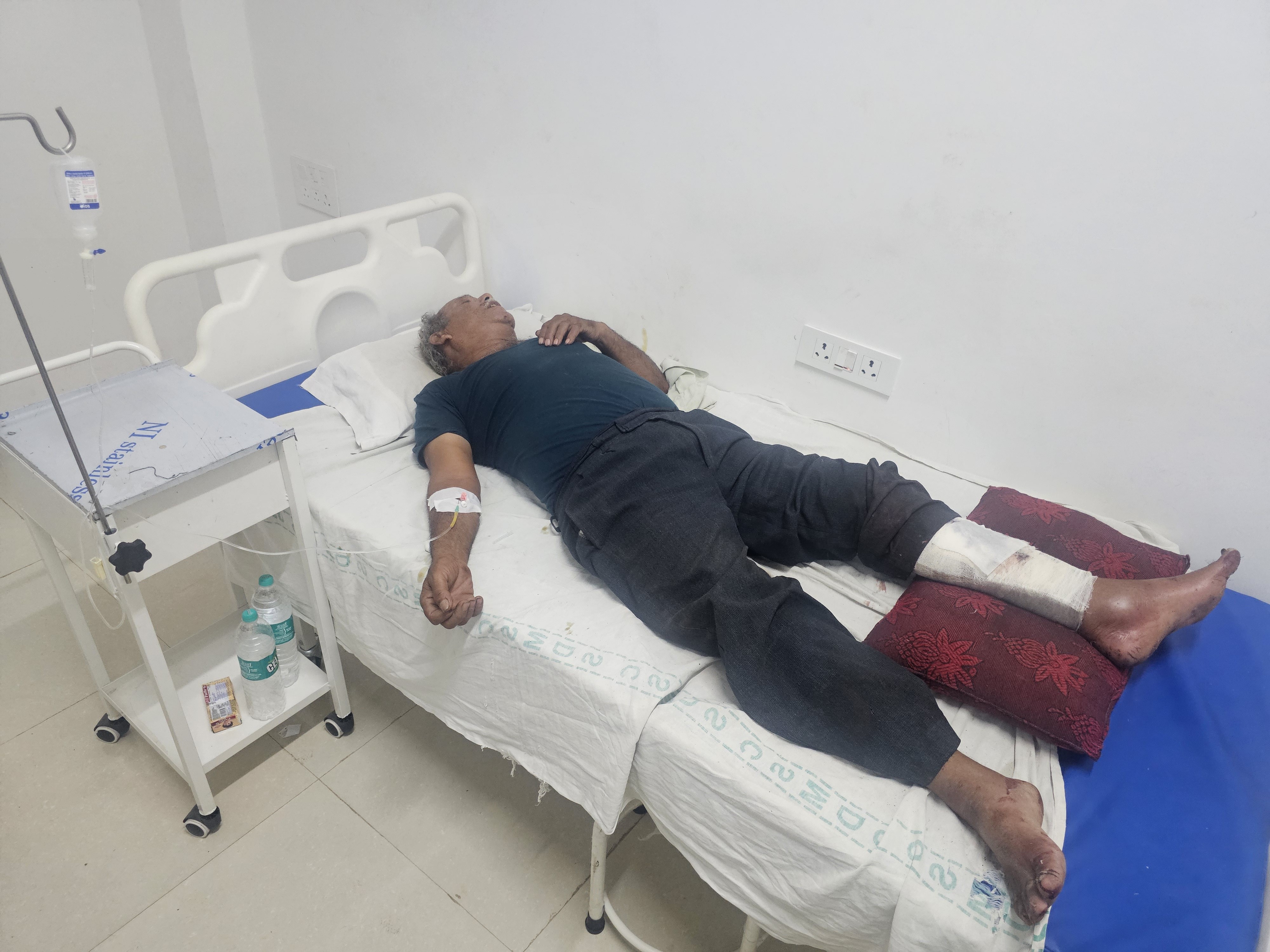Mandsaur Accident: Tree Fall Causes Mishap, Bike Rider Injured; Driver ...