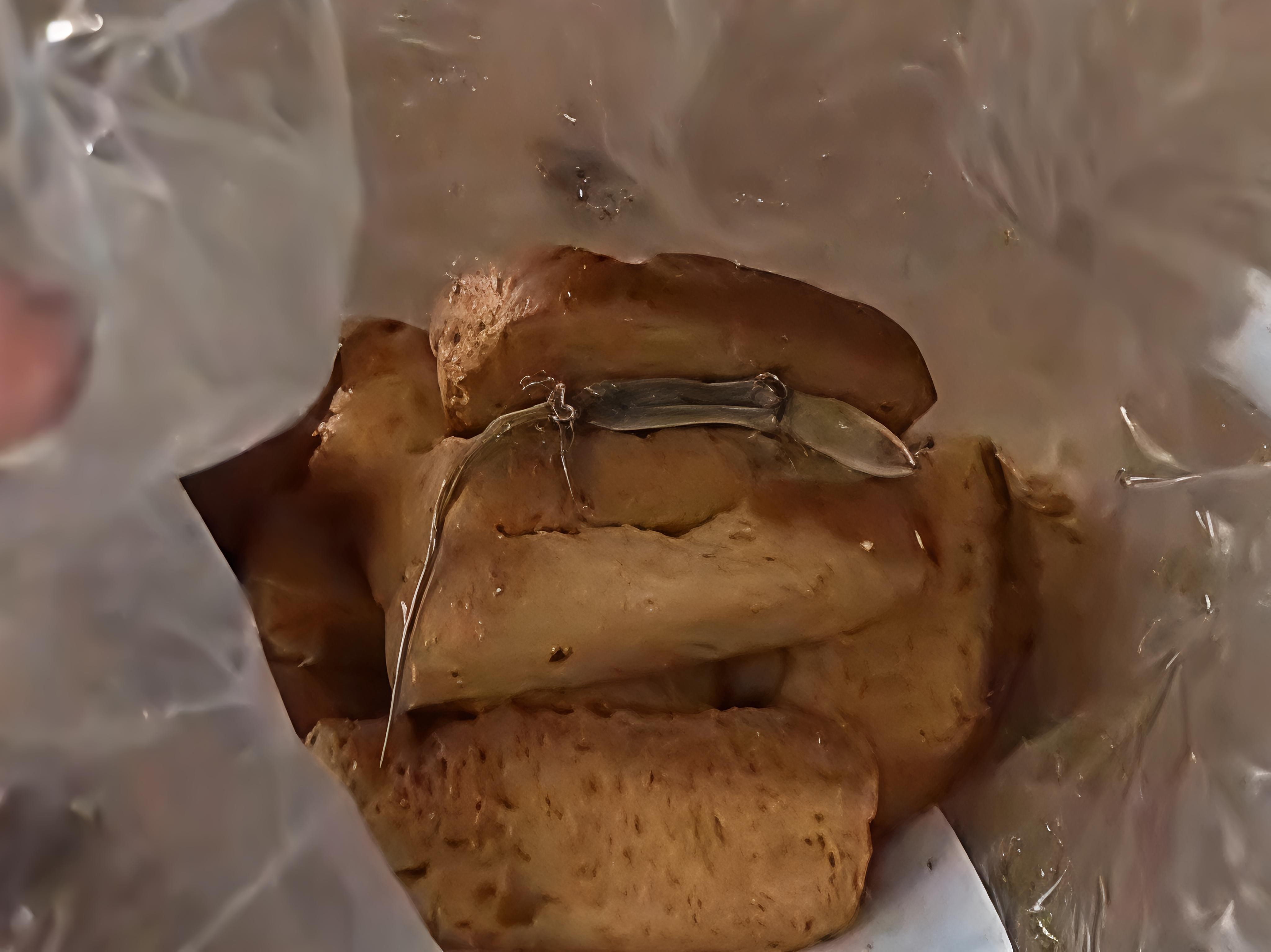 Shivpuri Toast Lizard Found | Samples Sent to Bhopal Lab