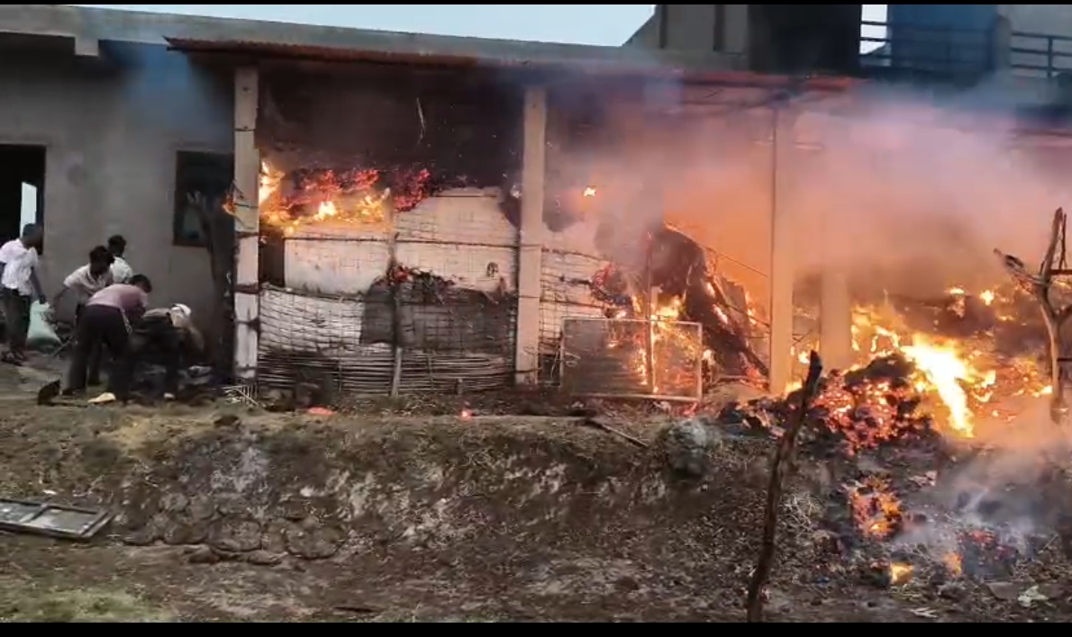 Fire in the barn, two trolleys of fodder and wood burnt to ashes