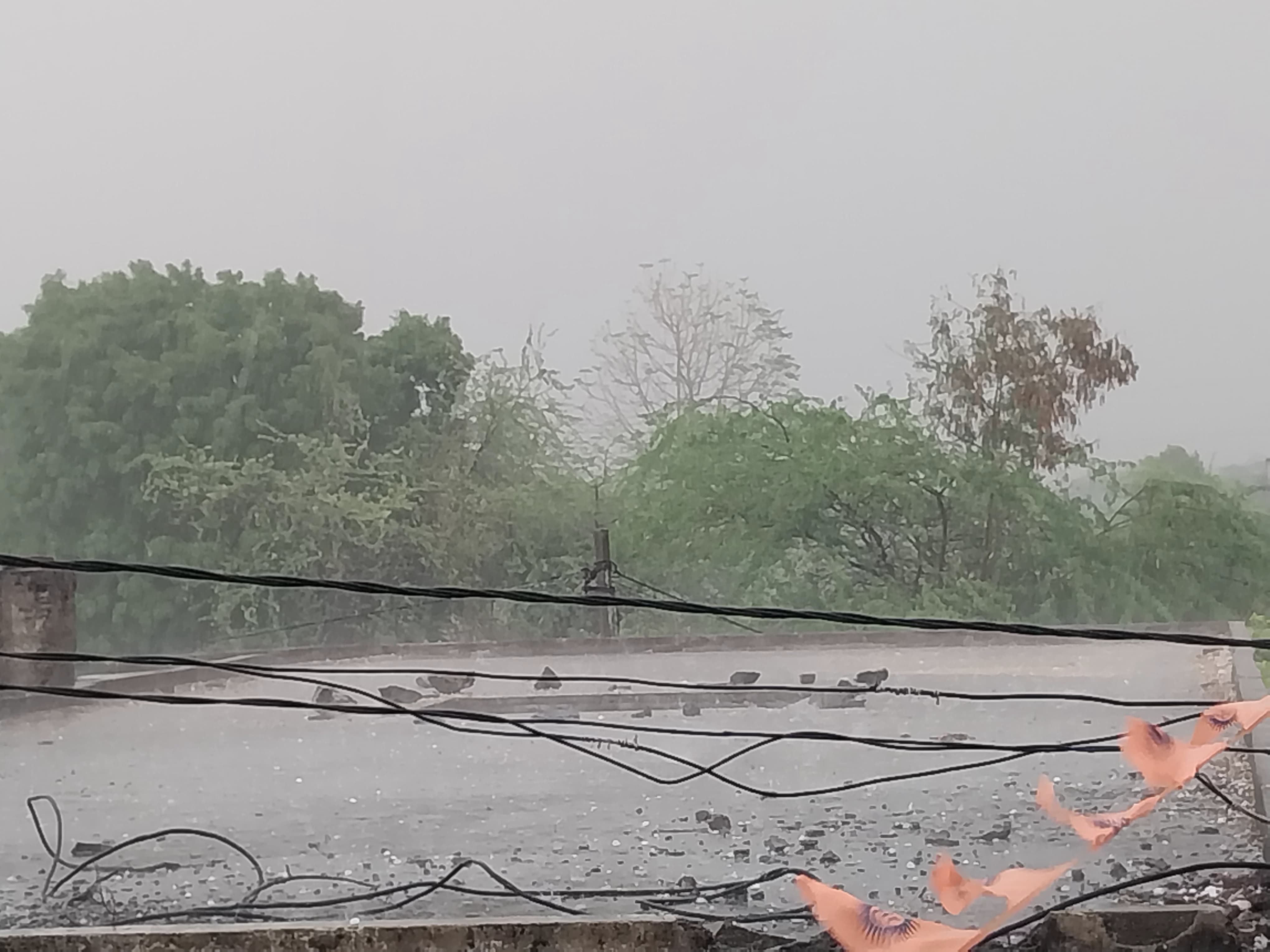 Weather takes a U-turn during Nautapa, clouds rain with hail, fields ...