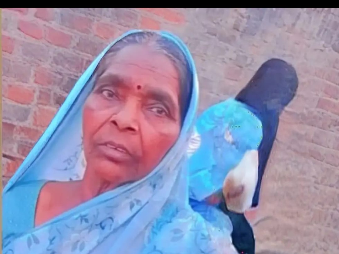 Latest Baheri News (बहेड़ी न्यूज़): पढ़ें 1 जून के ताज़ा समाचार दैनिक ...