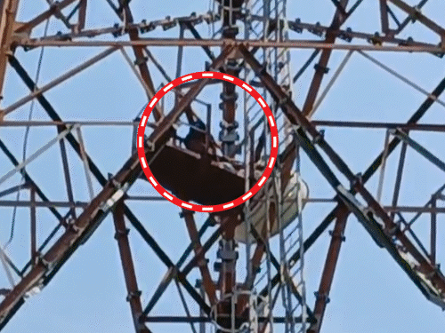 Gonda Woman Child Climb Tower | Brijbhushan Singh College Protest
