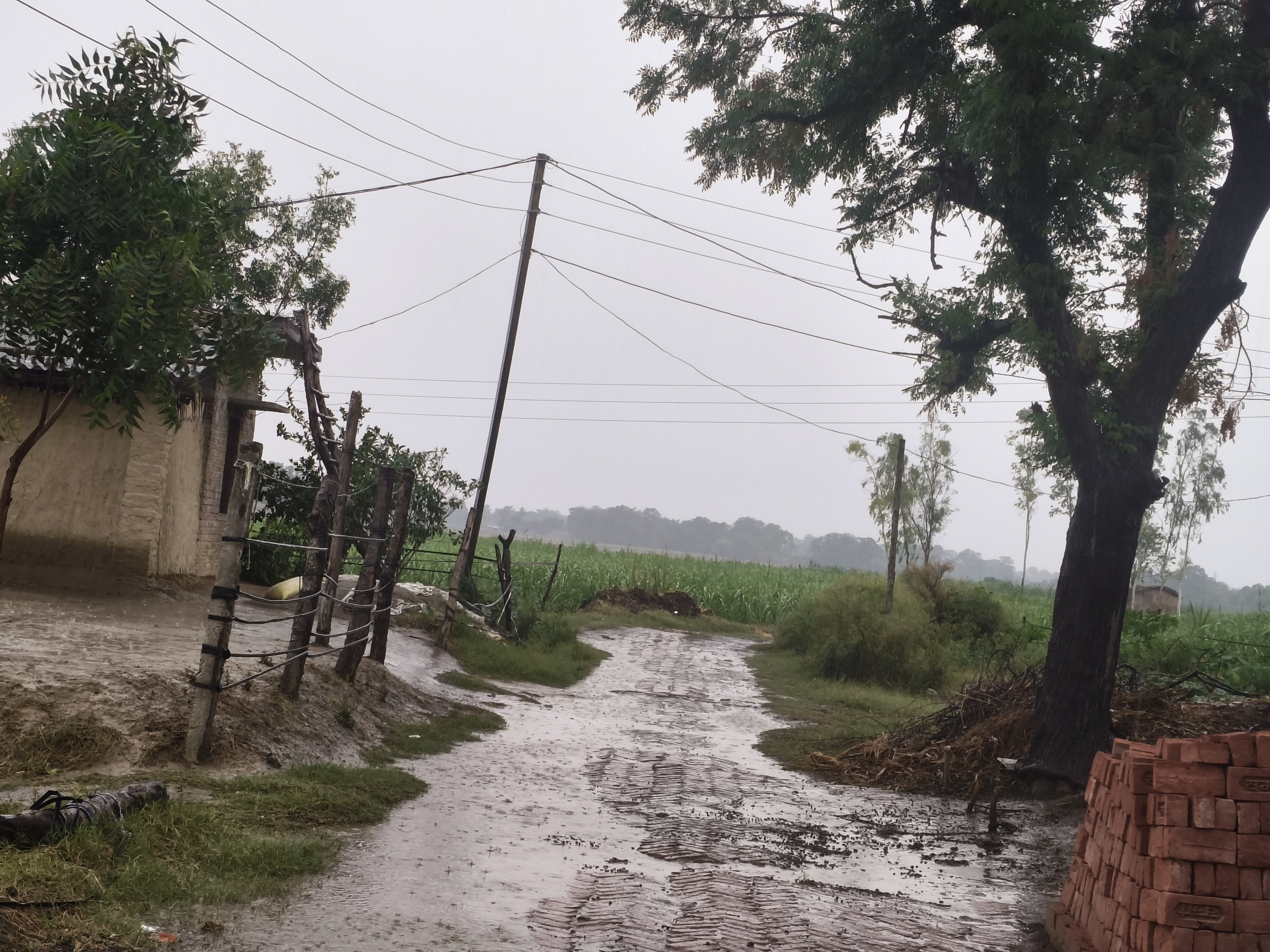 Tarun Block Rain Relief | Farmers Get Respite From Oppressive Heat