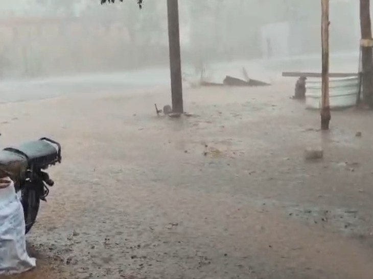 Madavara Rain Damage: Moong Crop Flooded, Temp Drop Offers Relief
