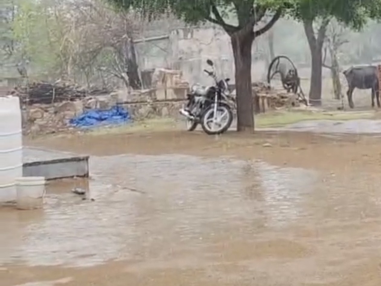 Latest Chomu News (चौमू न्यूज़): पढ़ें 1 जून के ताज़ा समाचार दैनिक ...