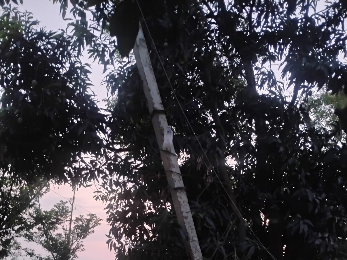 Khuthan Mohalla Leaning Pole | Nagar Bazaar Electricity Danger