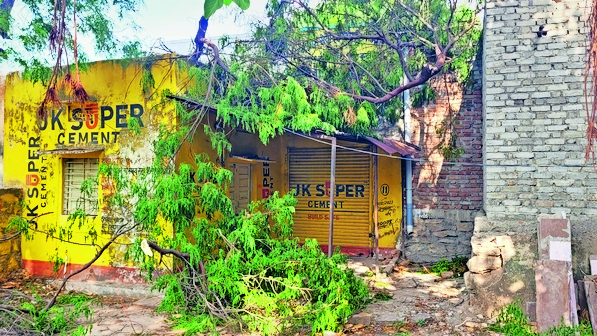 Neem tree fell on the building of Village Service Cooperative Society ...