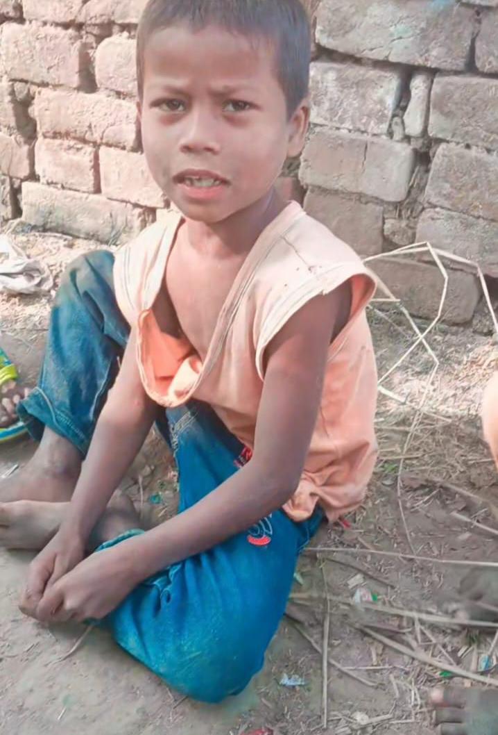 Accident during tree felling: 10-year-old boy dies after electric pole ...