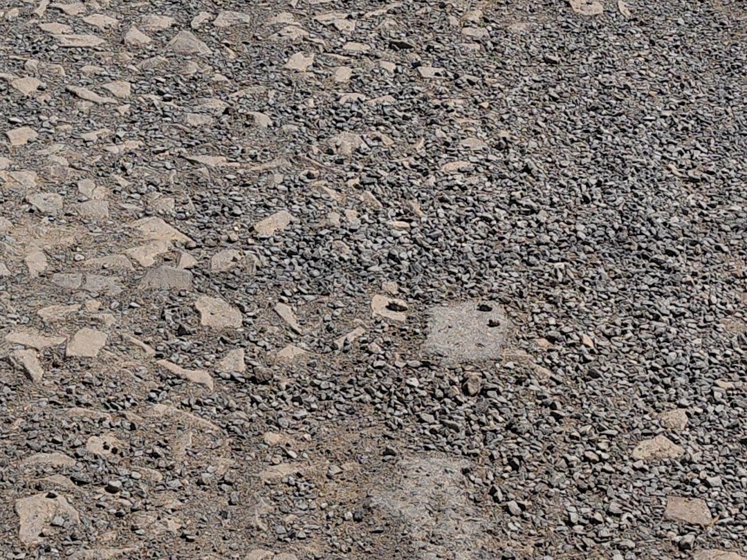 Kaudihar Block Road Repair Demand | Passengers Face Trouble