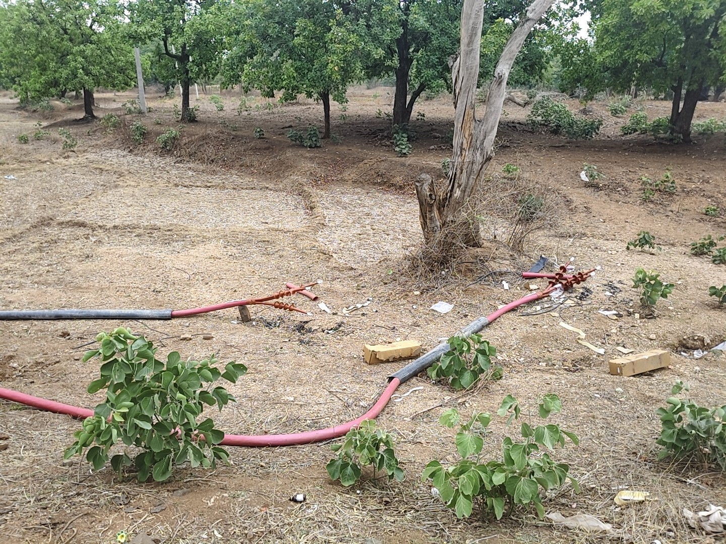 Kirbil Power Station Ready | Hundreds Villages Denied Power Due to ...