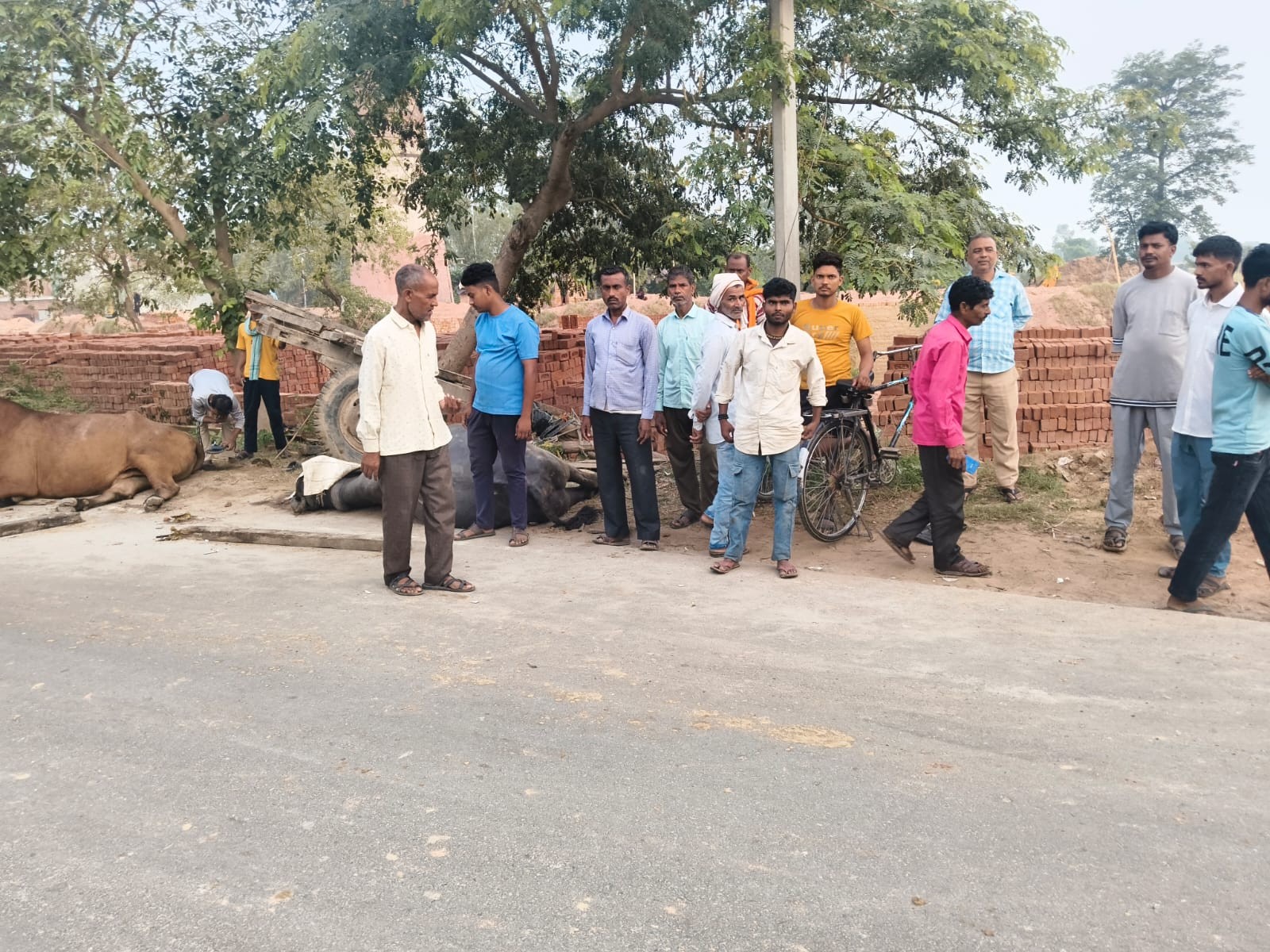 Kasganj Accident: Bullocks Cart Driver Injured, DCM Vehicle Hits