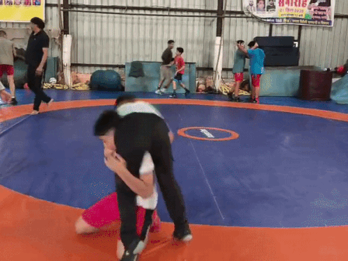 Bahadurgarh Wrestler Diksha Dalal Returns, Sonu Akhada Stars Selected ...