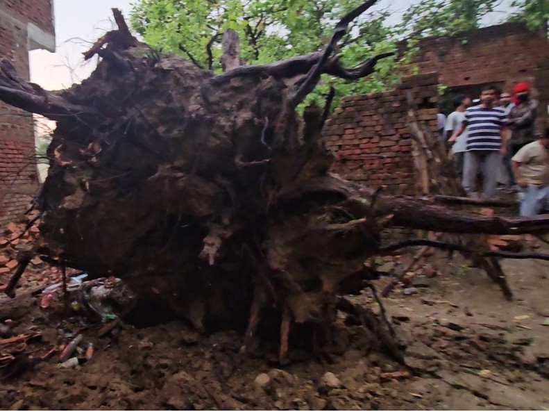 Bhadoura Power Outage & Waterlogging Disrupts Commute; Uprooted Trees