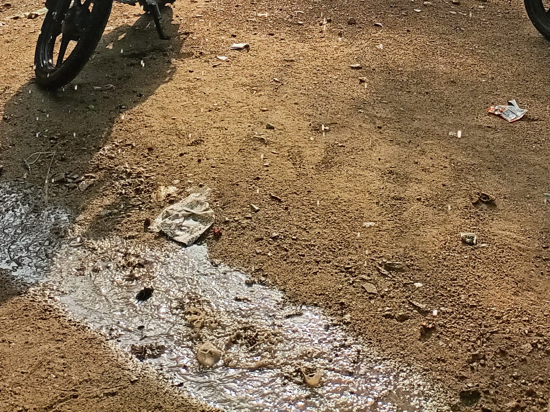 Latest gangapur city (sawai madhopur) News (गंगापुर सिटी (सवाई माधोपुर ...