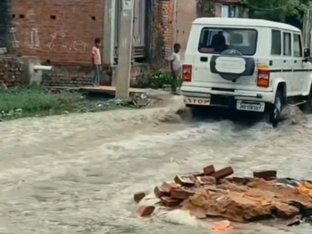 Bhadoura Power Outage & Waterlogging Disrupts Commute; Uprooted Trees