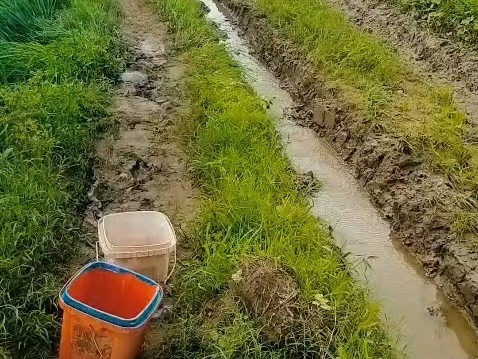 Sanchi Villagers Carry Patients on Charpoys Due to Bad Roads | Bishankheda