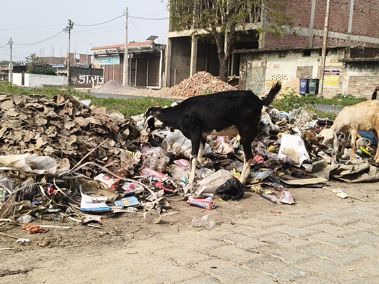 Sonouli MRF Center Inactive | Garbage Mess Public Health