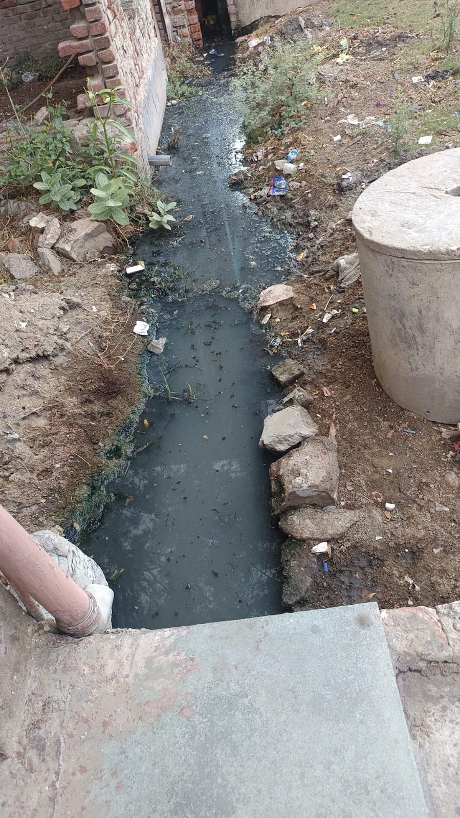 Dirt clogs drains, dampness in houses causes walls to deteriorate ...