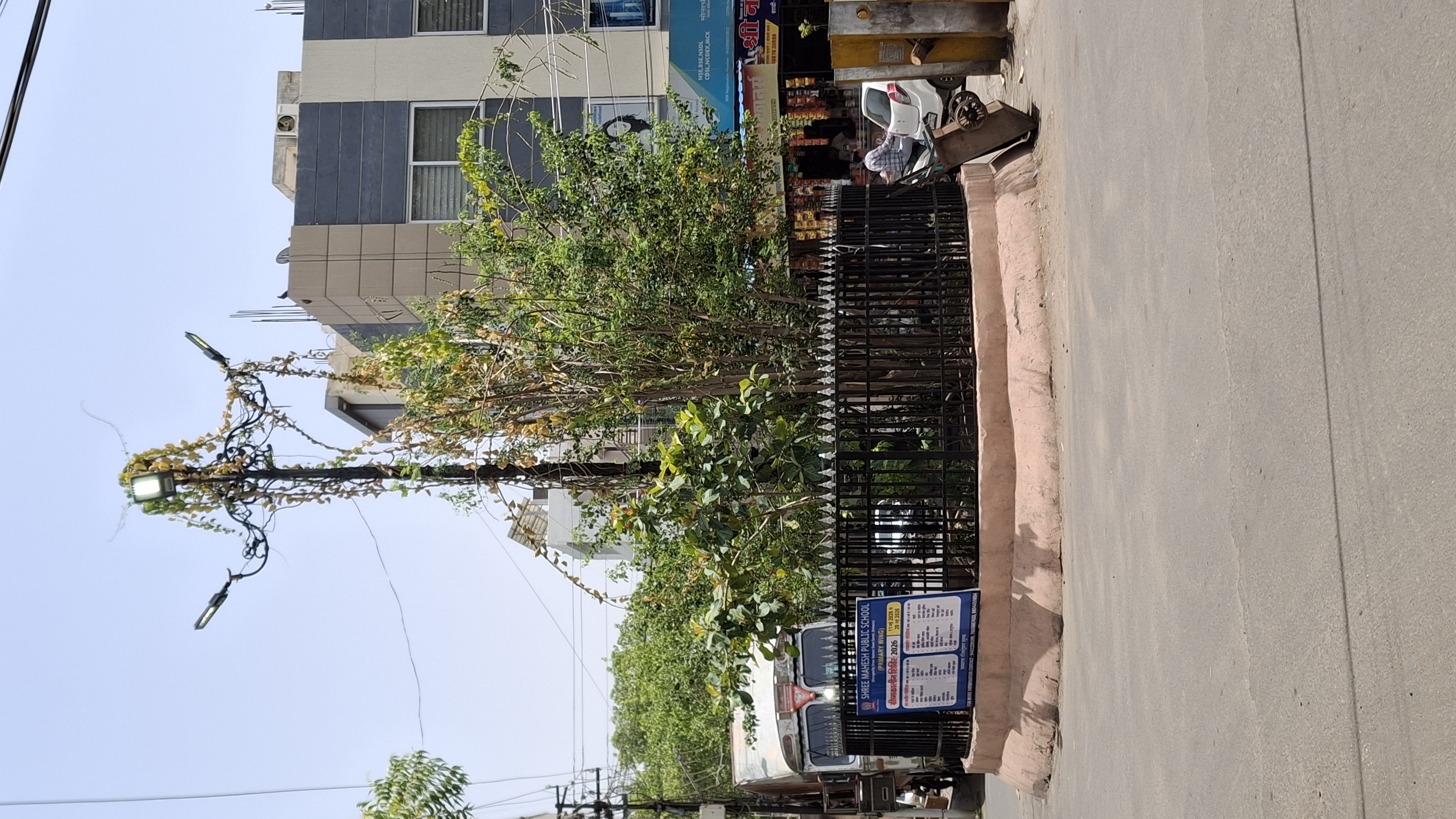 Vines on high mast lights, affecting both light and security