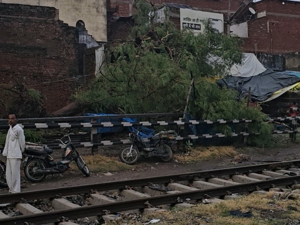 Bhadoura Power Outage & Waterlogging Disrupts Commute; Uprooted Trees