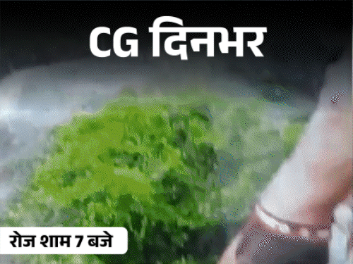 Chhattisgarh Top 10 News: Farmhouse Murder, CGPSC Scam ED Raid, Driver ...