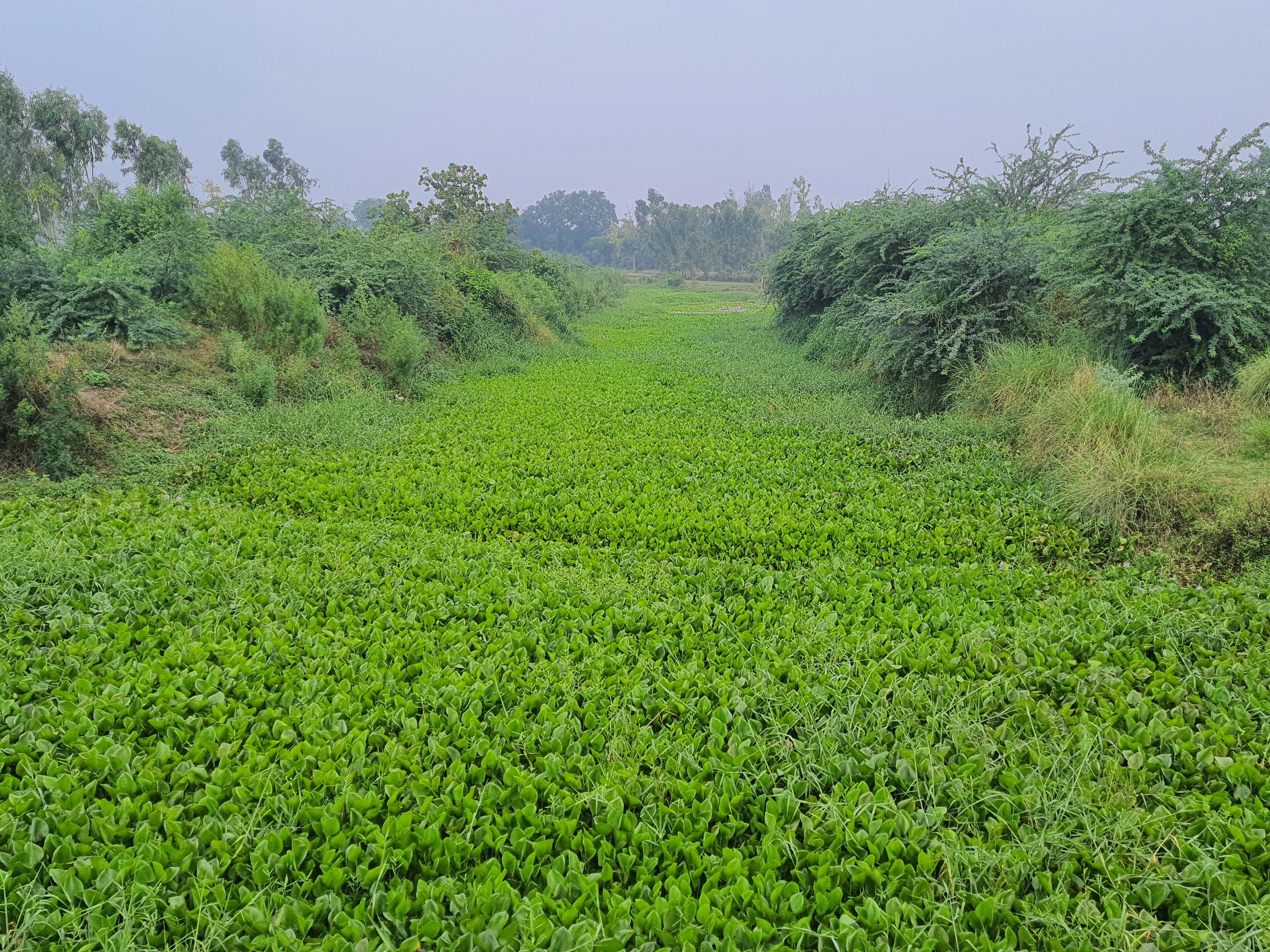 Raebareli Shivgarh Drain Cleaning Tender Issued | Farmers Relief