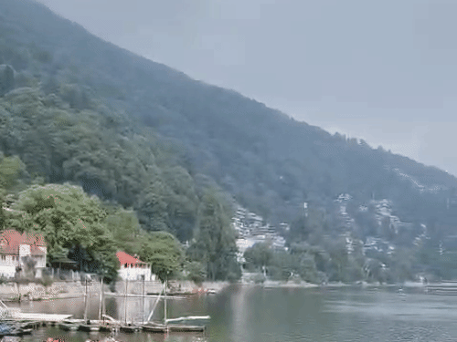 Uttarakhand Rain Yellow Alert | Dehradun Tree Fall; Kashipur Hottest