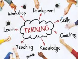 Jalandhar Skill Training: Free Online Courses & Private Job Placement