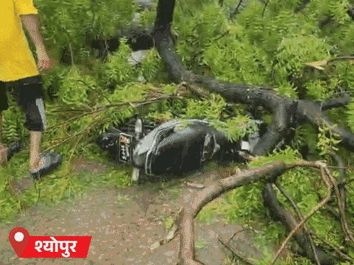 MP News: Child Body Grave, Head Constable Suicide | Smugglers Car Statement