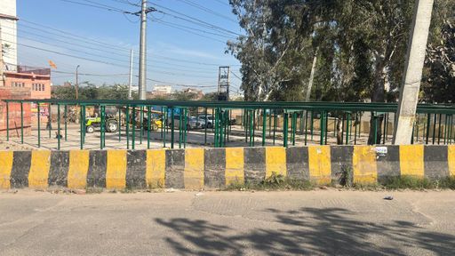 NGT Action Punjab Green Belt Encroachment High-Level Committee Report
